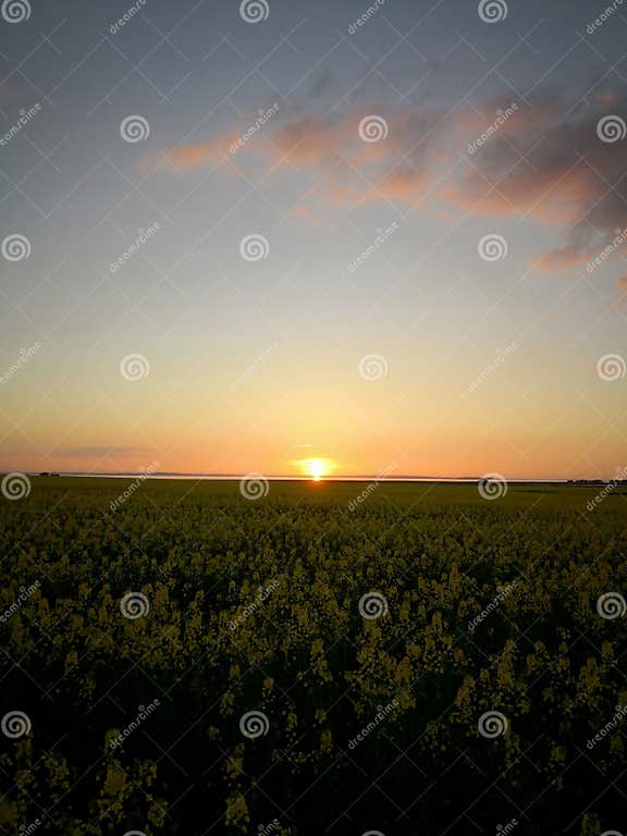 Rapper in the sun stock image. Image of sunset, rapper - 149400367