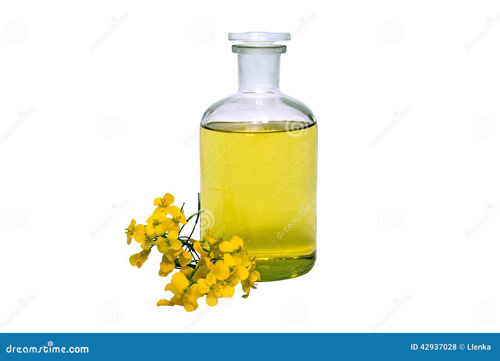 Rapsöl stockfoto. Bild von flüssigkeit, organisch, nave - 42937028