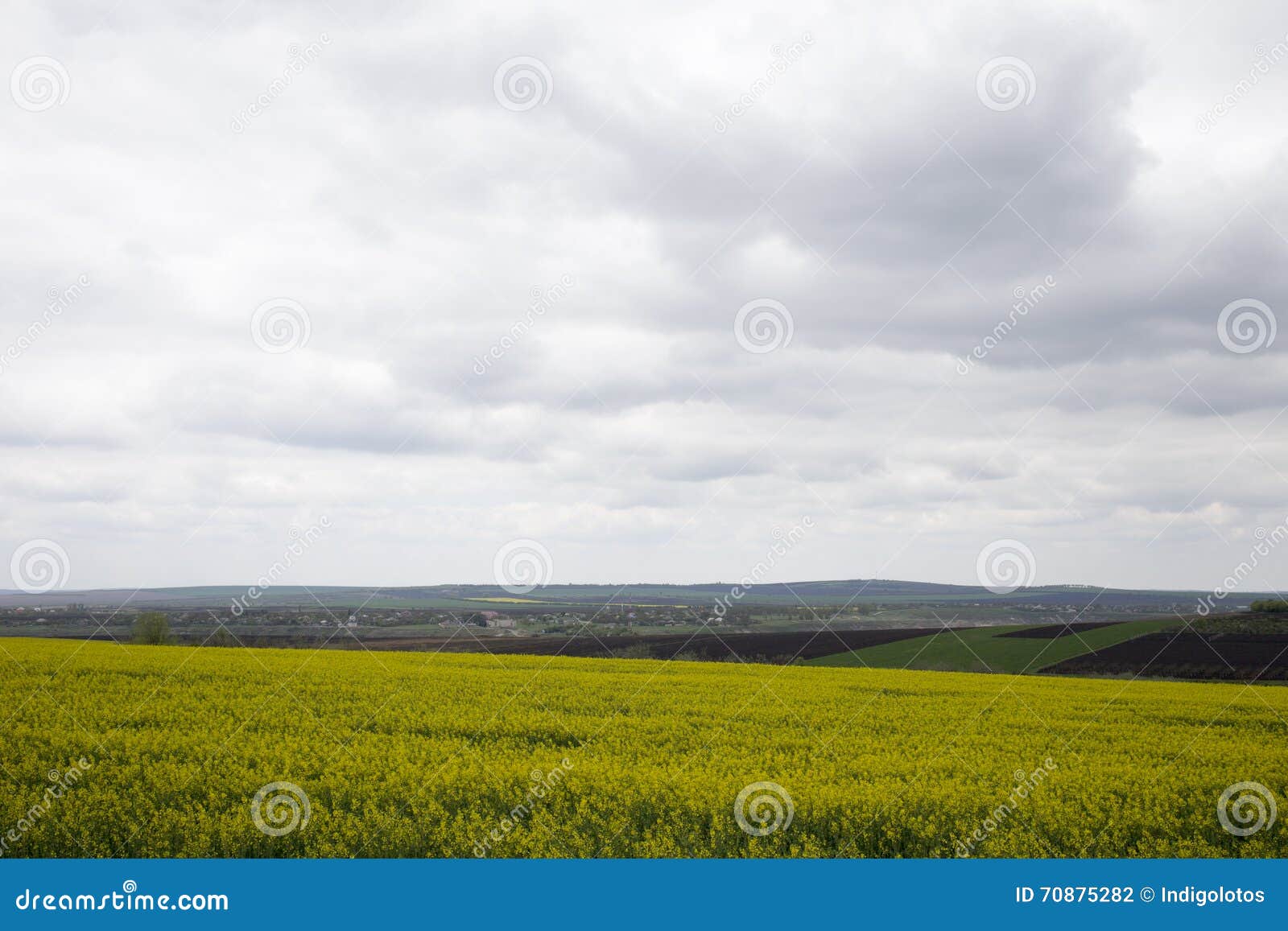 Raps, Canola, Biodiesel-Ernte Stockfoto - Bild von sport, ausdehnung ...