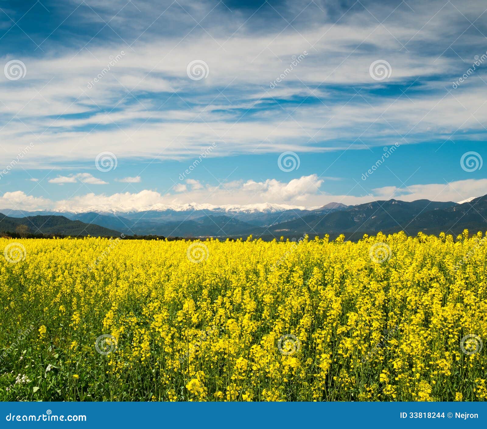 Raps field stock photo. Image of mountains, meadow, clouds - 33818244