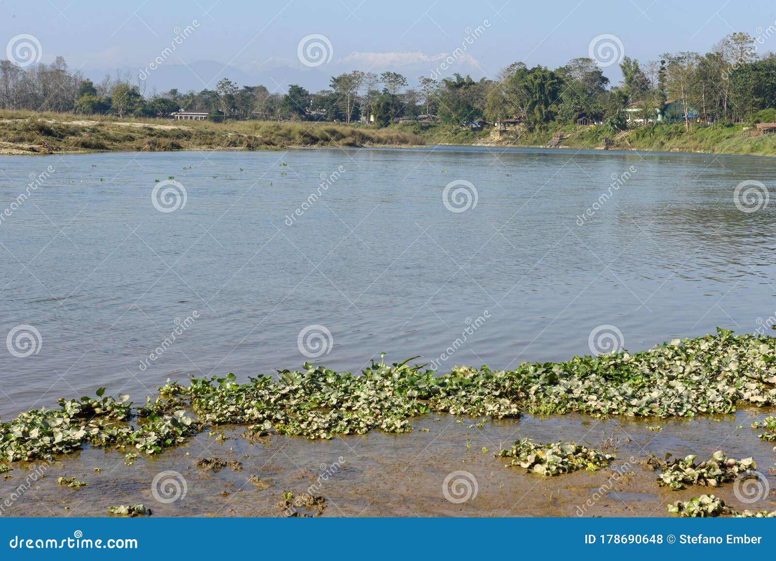 Rapti River of Chitwan National Park in Nepal Stock Photo - Image of ...