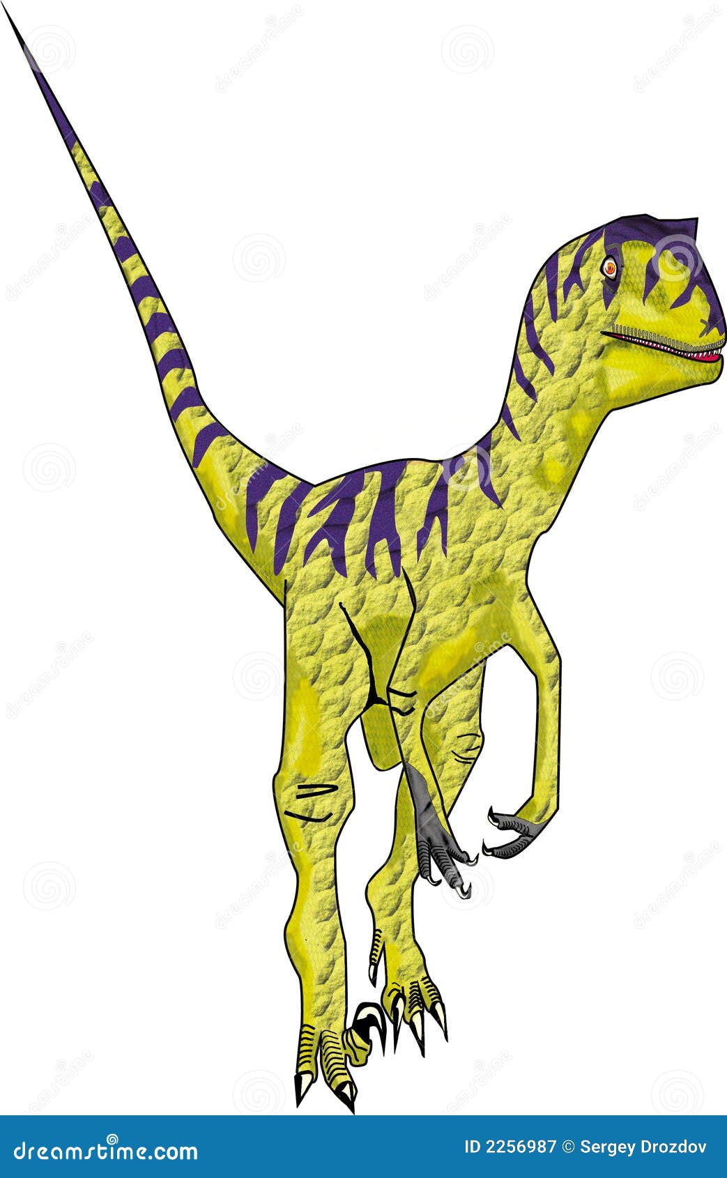 Raptor Picture. Image: 2256987