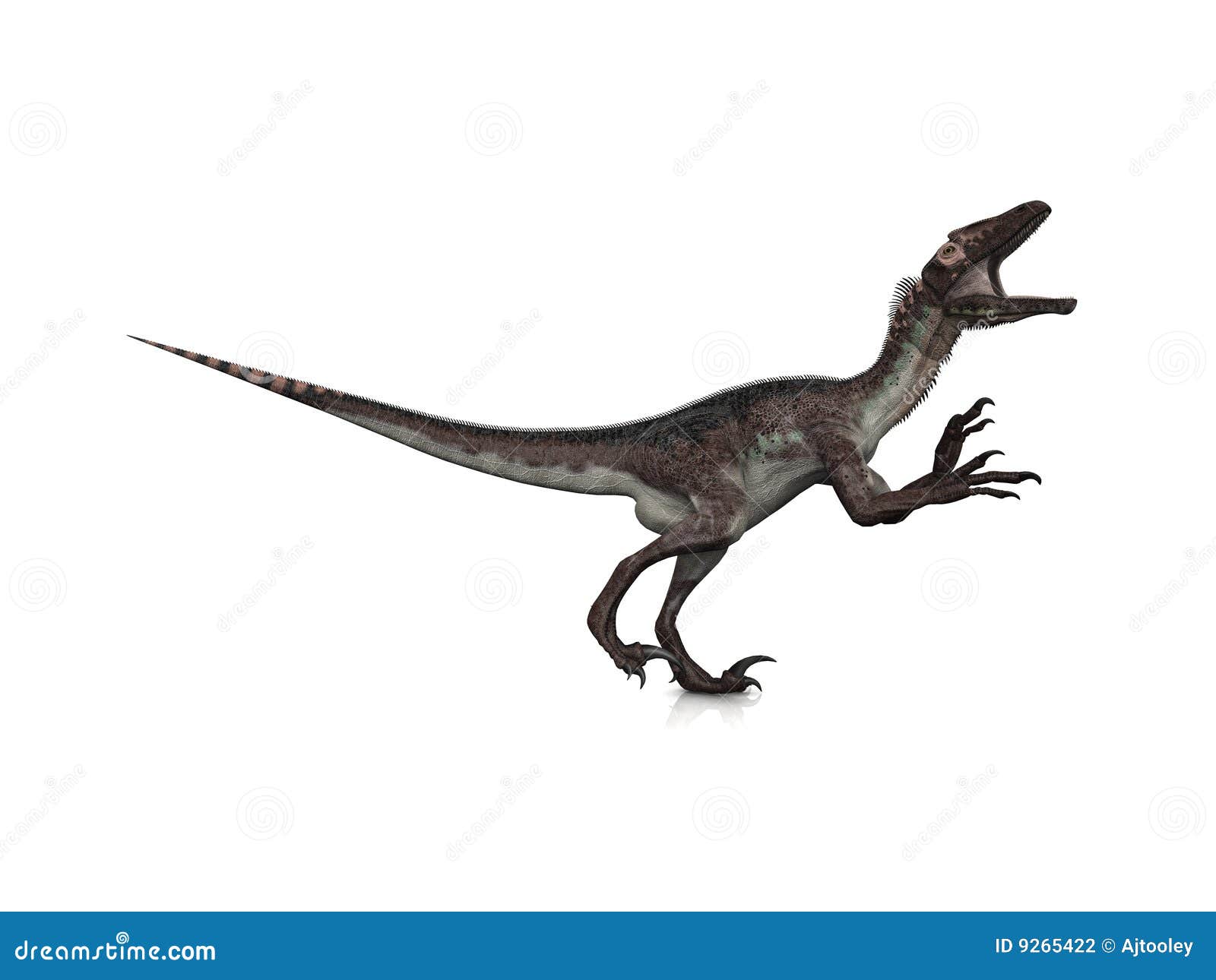 Raptor stock illustration. Illustration of prehistoric - 9265422