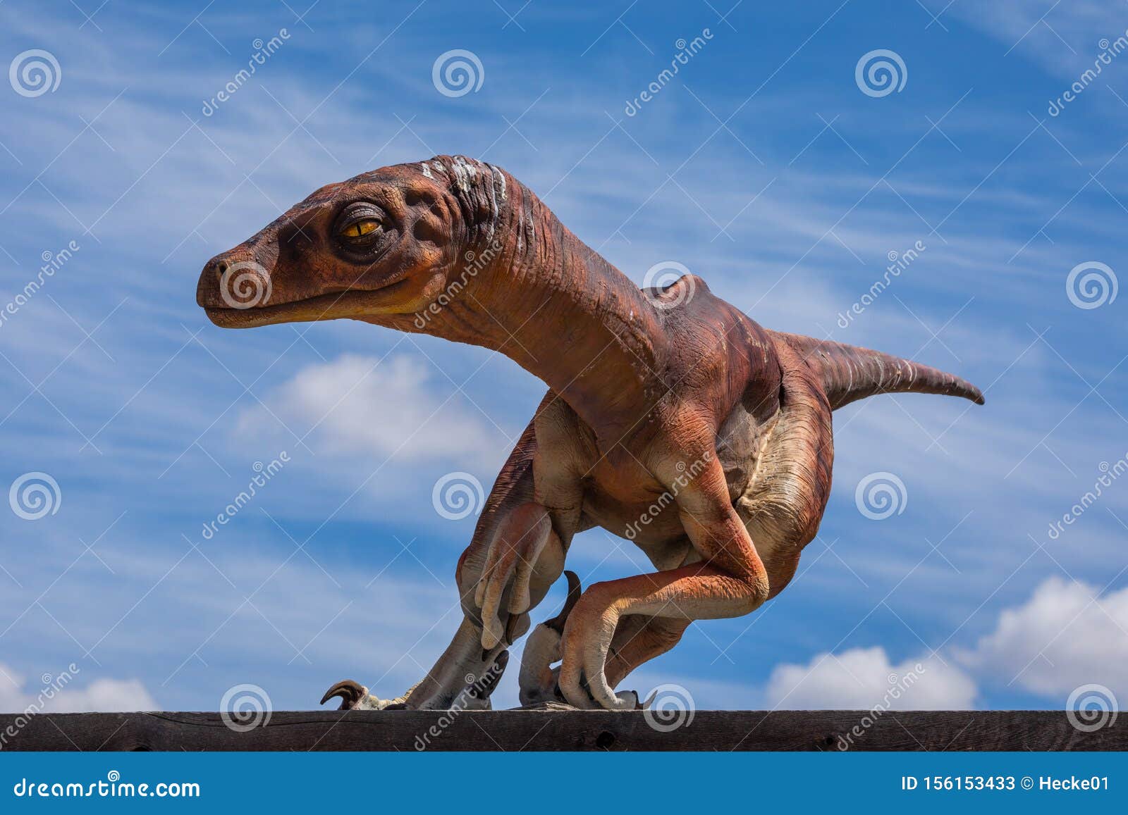 A Raptor Dinosaur with Blue Sky Stock Image - Image of background ...