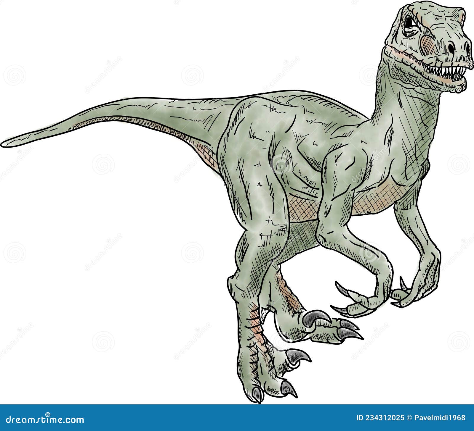 Raptor Dinosaur Illustration Isolated on White Backgroud Stock ...