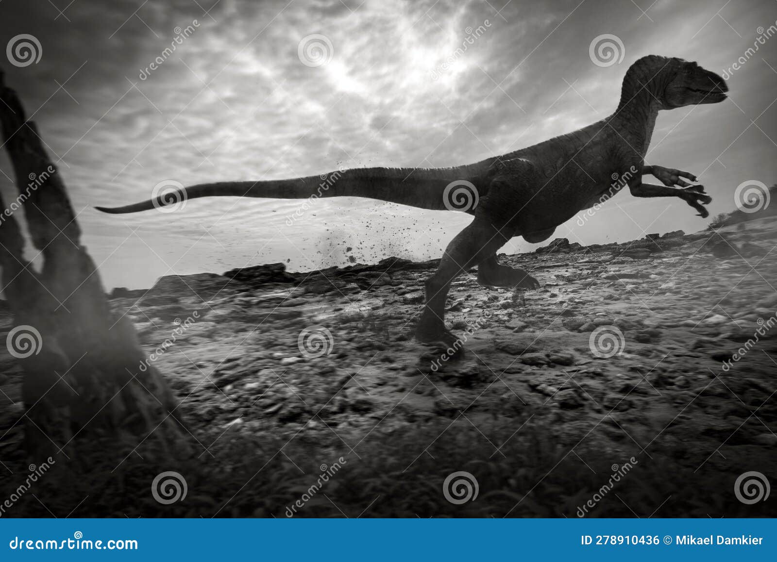 Raptor Dinosaur Running on Beach Stock Illustration - Illustration of ...