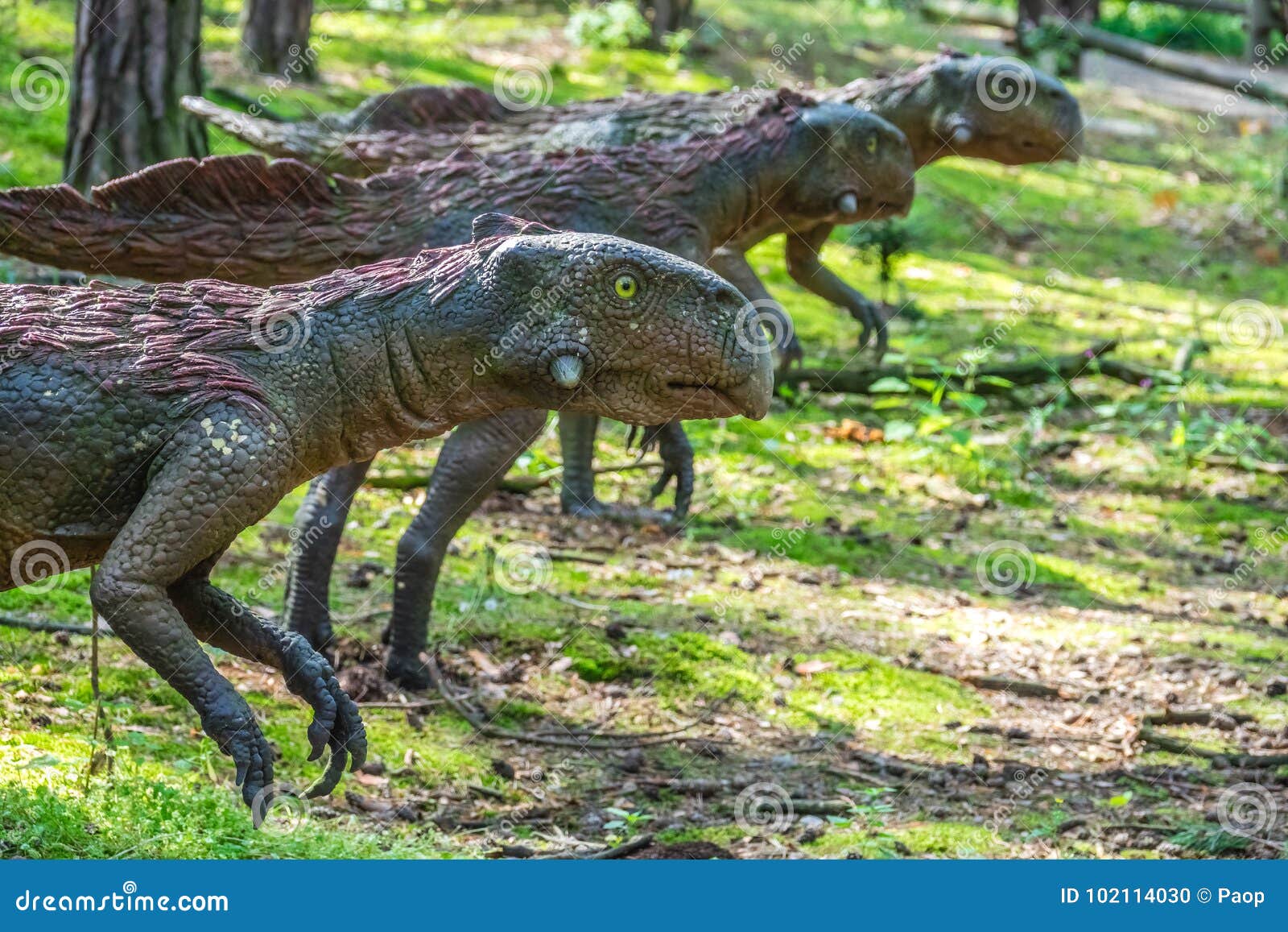 Raptor dinosaurs statues stock photo. Image of animals - 102114030