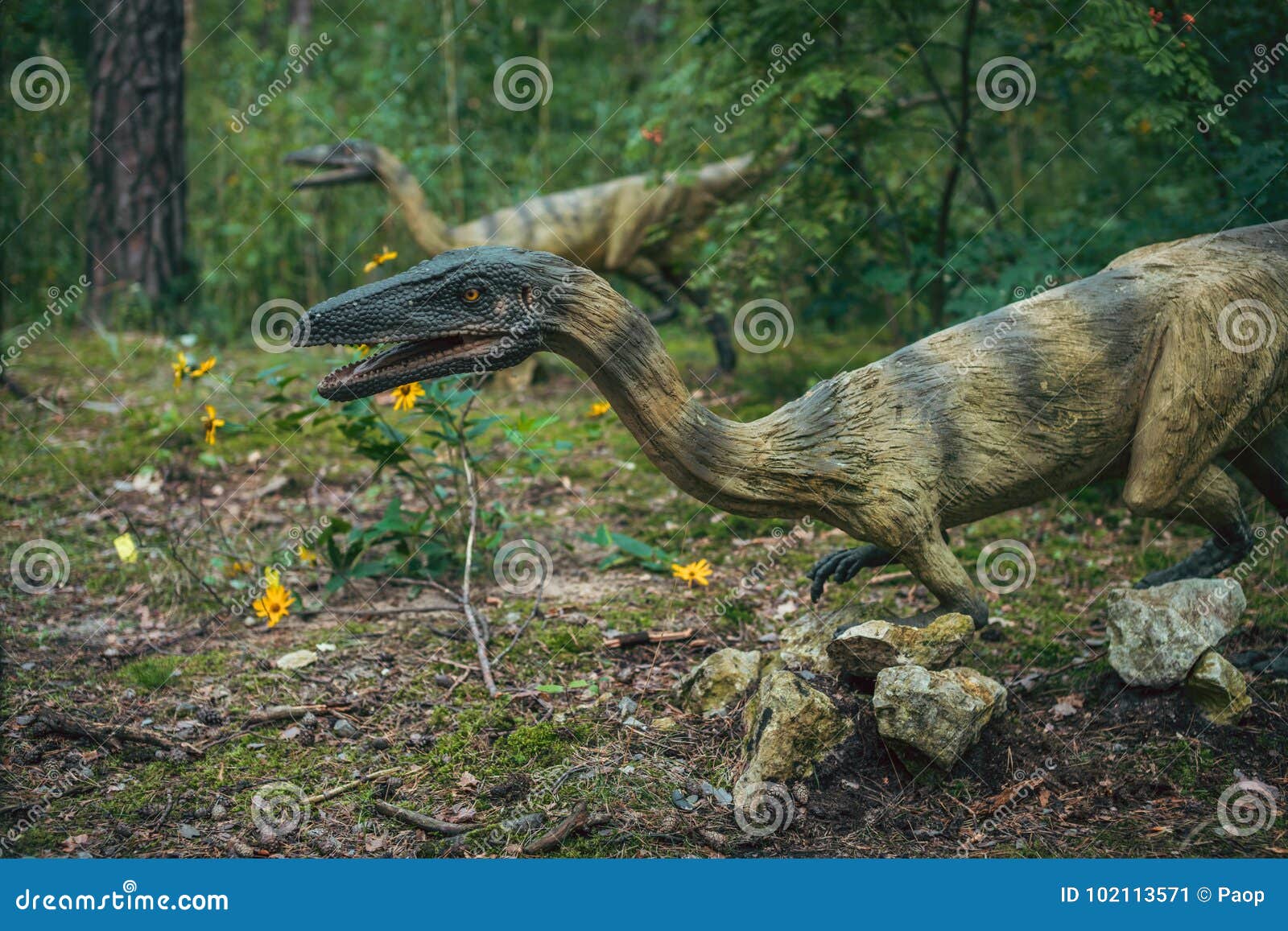 Raptor dinosaurs statues editorial photo. Image of fossil - 102113571