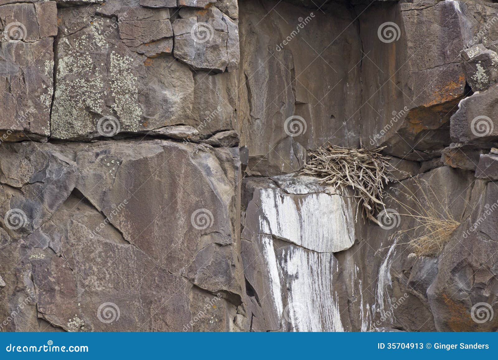 Raptor Nest High on Lava Rock Face Stock Image - Image of white, sticks ...