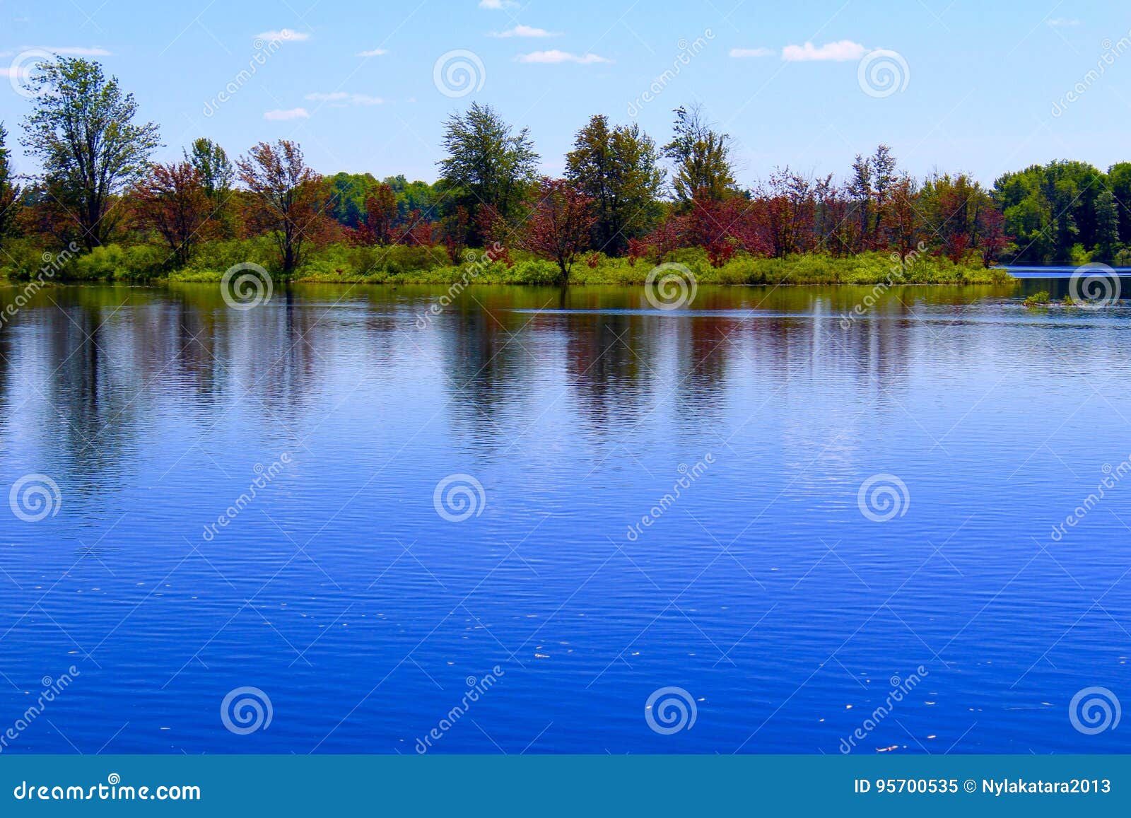 Raquette River stock image. Image of tourist, foliage - 95700535