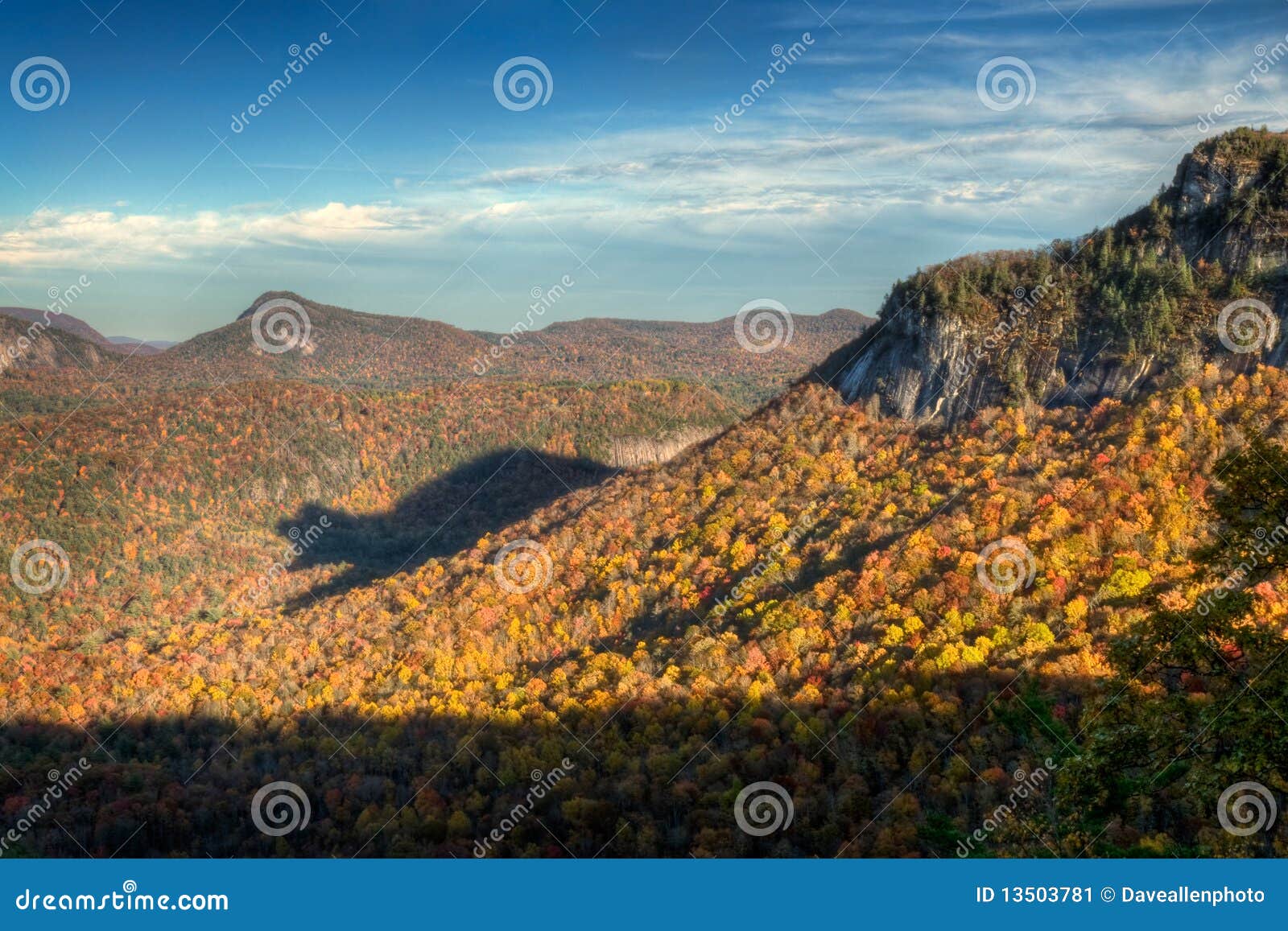 Rare Autumn Bear Shadow in Blue Ridge Mountains Stock Image - Image of ...