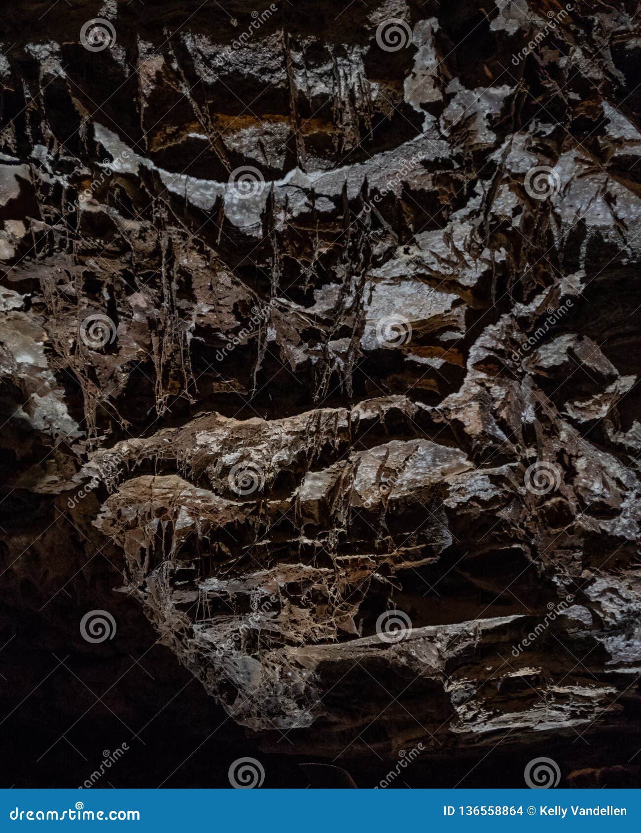 Rare Boxwork Detail Inside Wind Cave Stock Photo - Image of inside ...