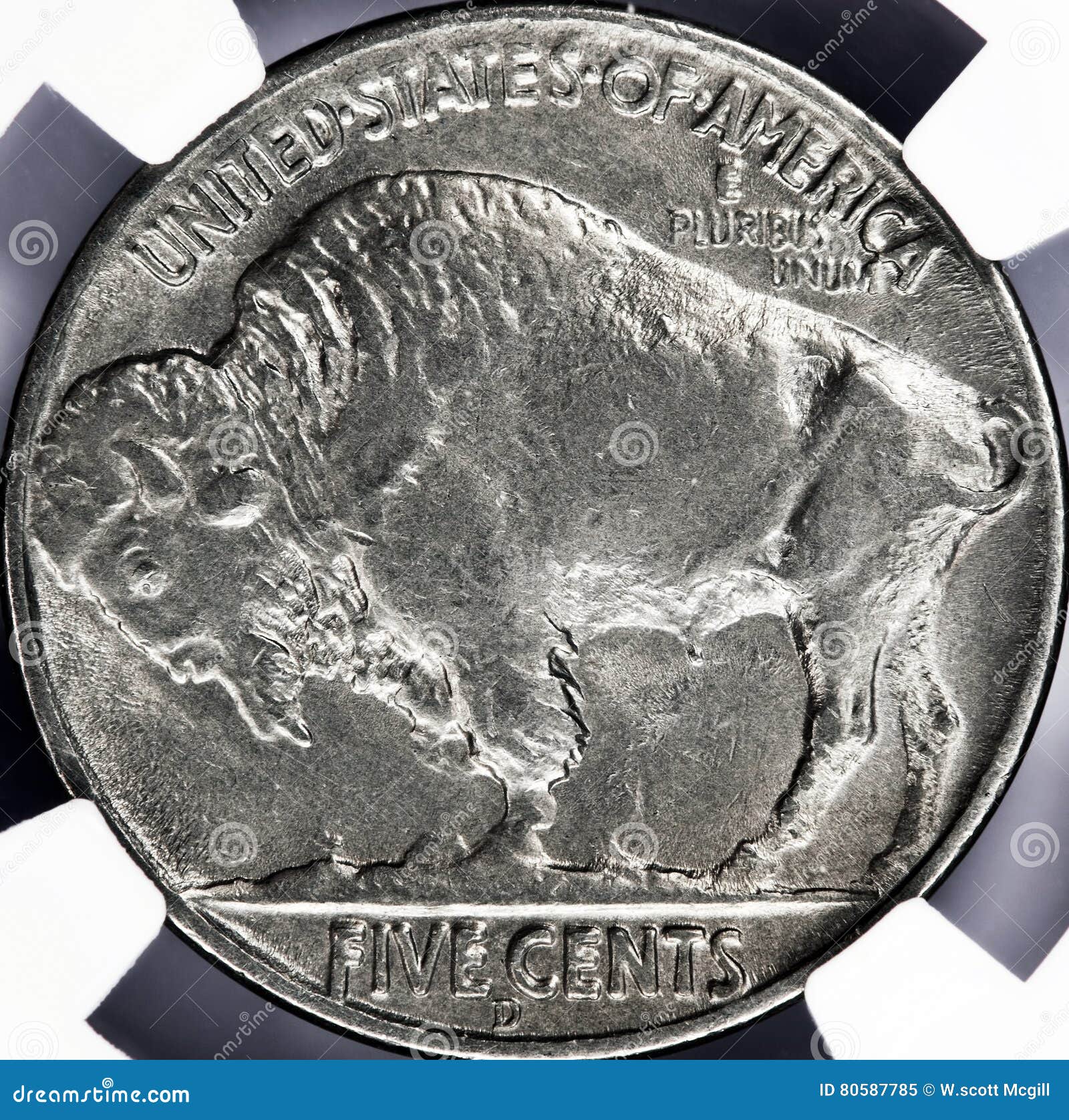 Rare Buffalo Nickle stock image. Image of reverse, bison - 80587785