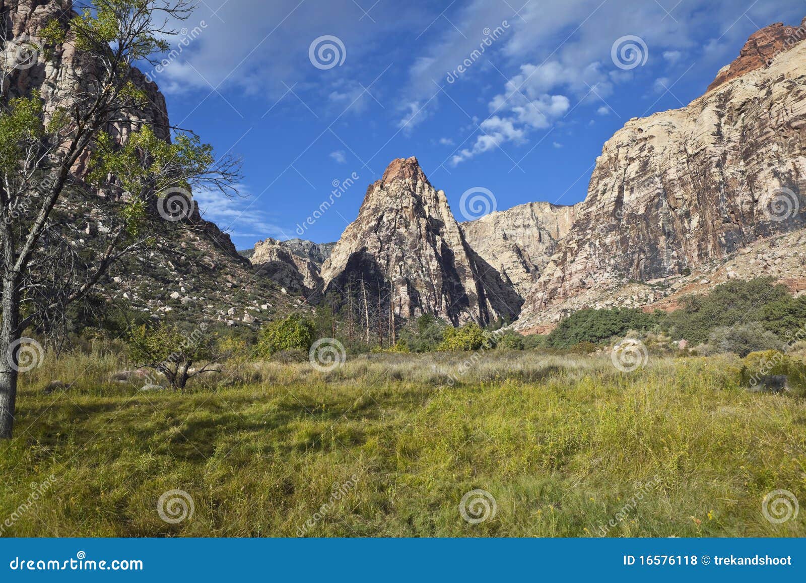 Rare Desert Meadow stock photo. Image of scenic, hill - 16576118