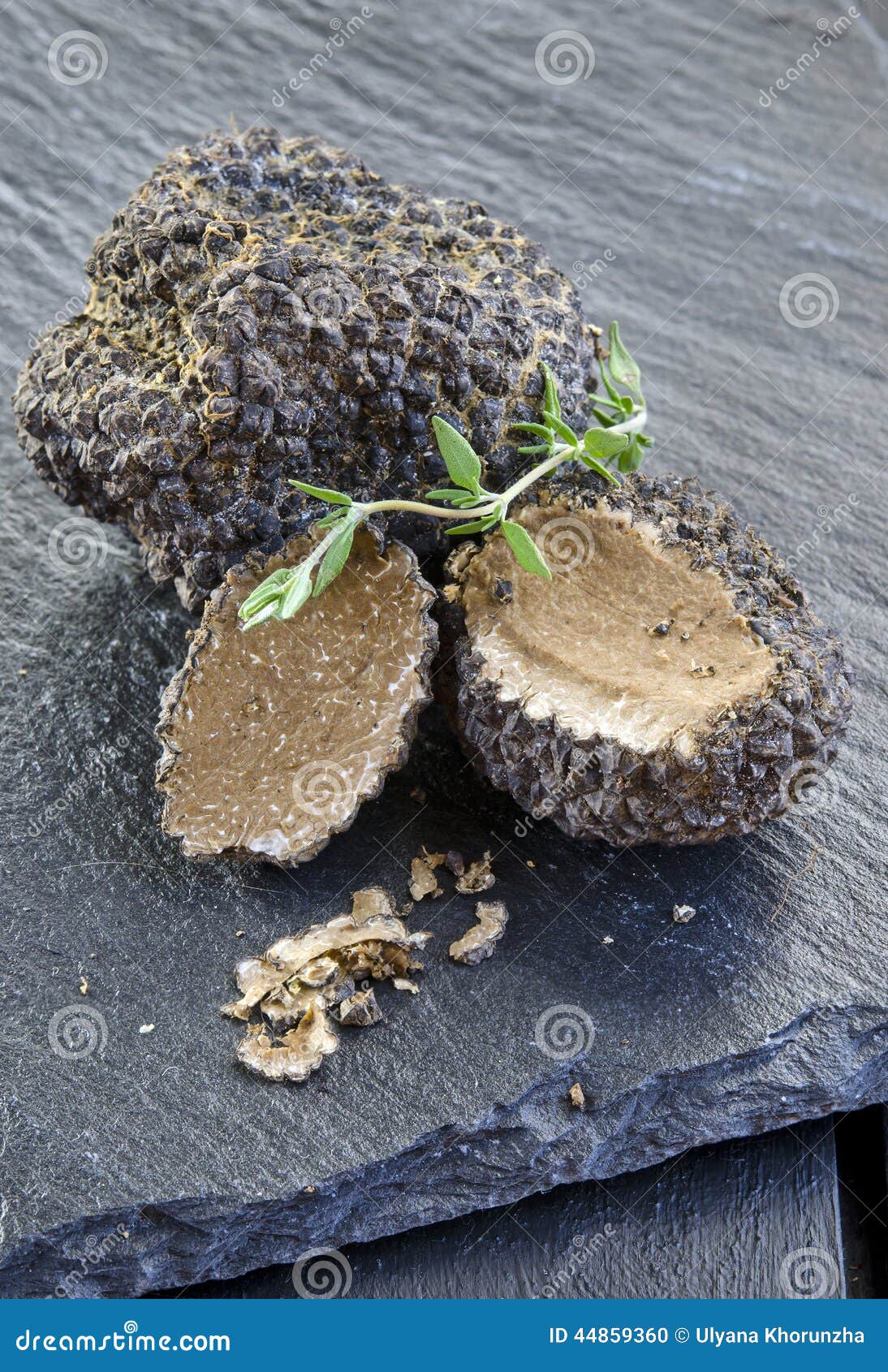Rare and Expensive Black Truffle Stock Photo - Image of expensive ...