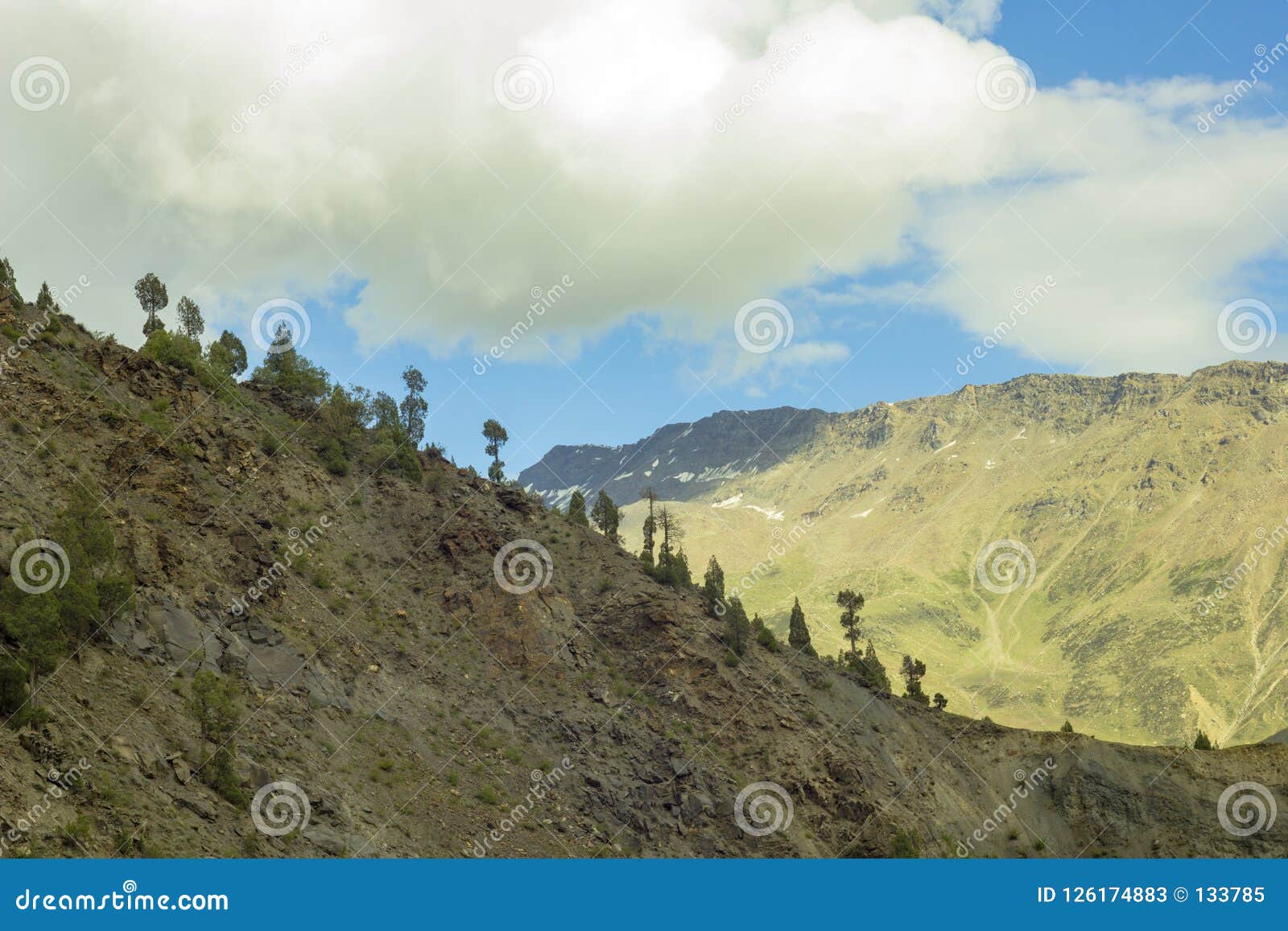 A Rare Forest on the Ridge and Valley Stock Image - Image of journey ...