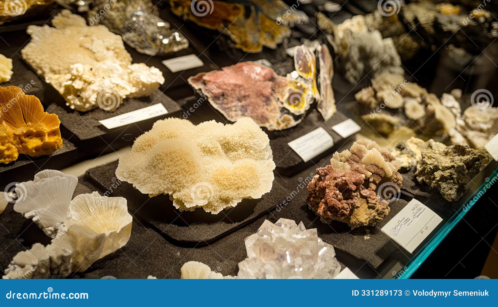 Display of Diverse Geological Samples and Rare Specimens Mineral ...
