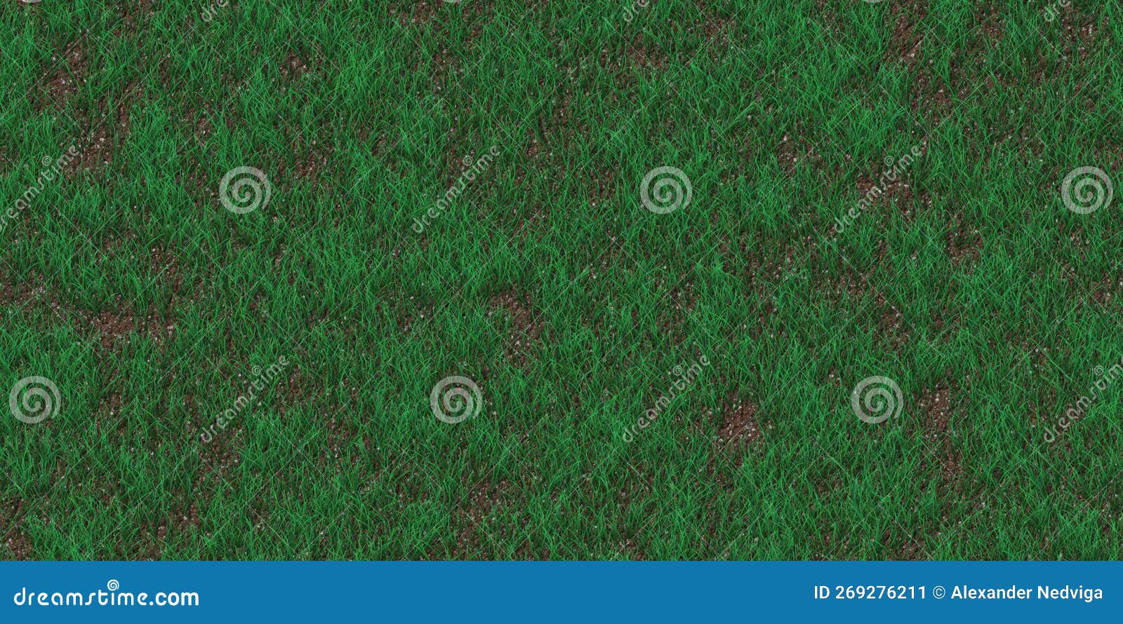 Rare Grass In The Park Kosciuszki In Katowice Stock Photography ...