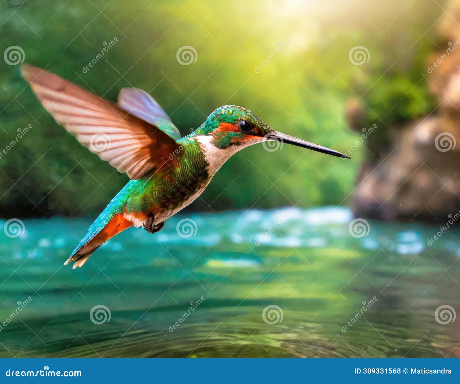 Hummingbird Flying Over the Water. Generated with AI Stock Illustration ...