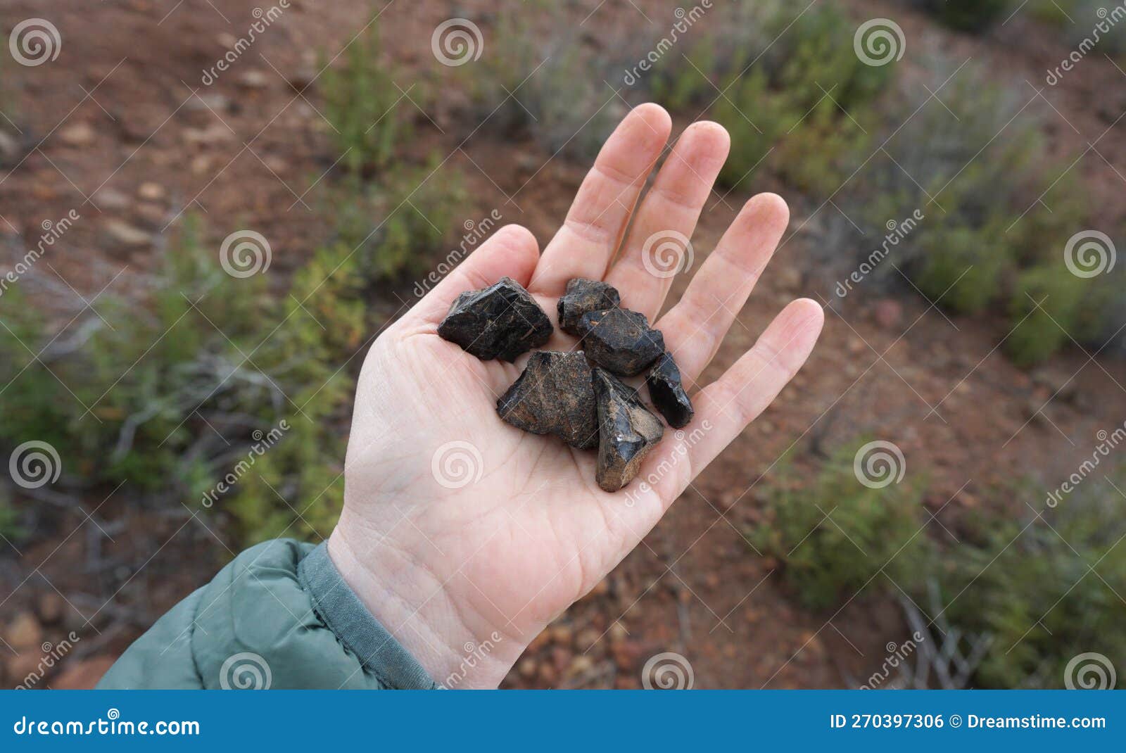 Rare Hand Prints - Cross Line, Web Fingerprints Royalty-Free Stock ...