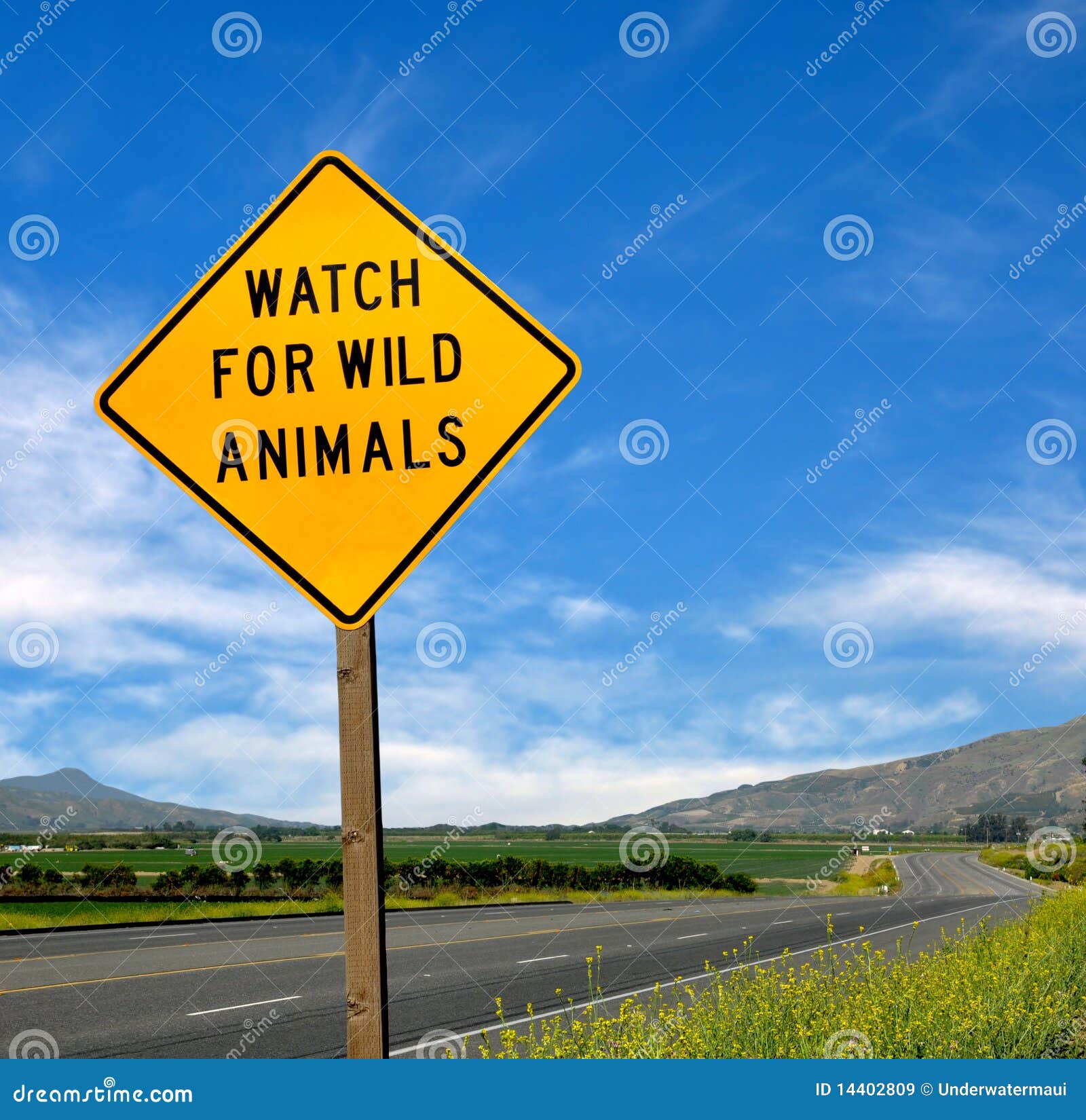 Rare Road Sign stock image. Image of slow, corridor, animals - 14402809