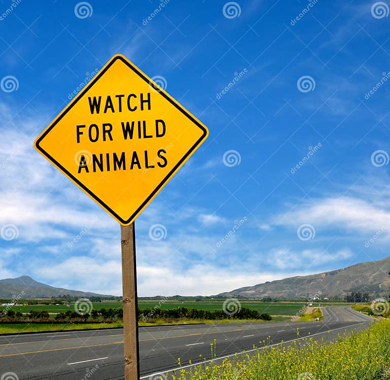 Rare Road Sign stock image. Image of slow, corridor, animals - 14402809