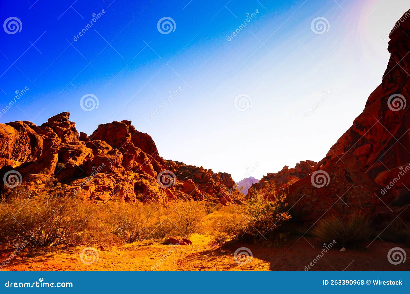 Rare Sandy Stones in the Dry Desert Stock Photo - Image of outdoor ...