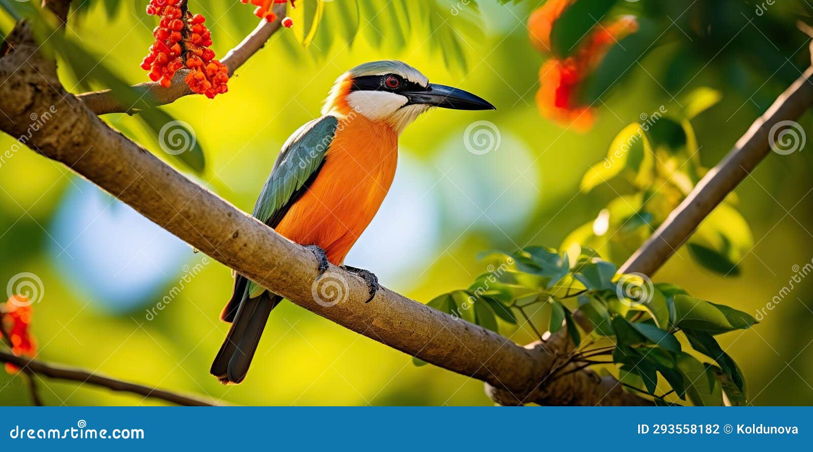 Rare Species of Bird Perched on a Tropical Tree , Concept of Endangered ...