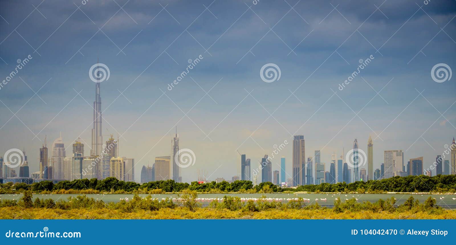 Ras Al Khor Wildlife Sanctuary Stockfoto - Bild von architektur, stadt ...