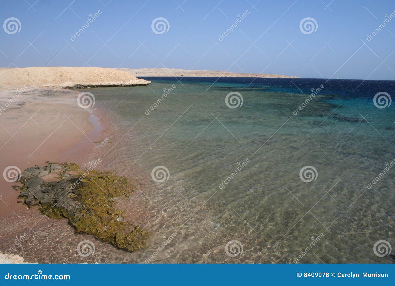 Ras Mohammed stock photo. Image of gulf, aqaba, egypt - 8409978