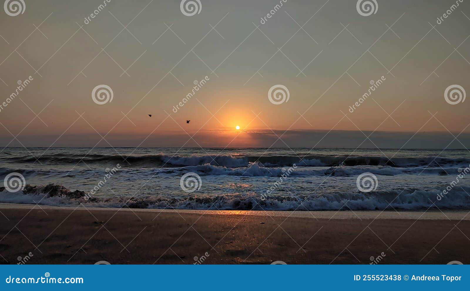 Rasarit stock photo. Image of valuri, rasarit, mare - 255523438