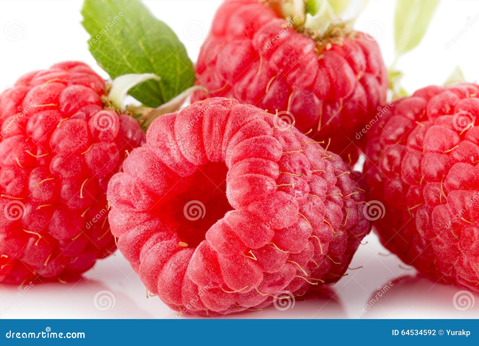 Rasberries Isolated on the White Background Stock Photo - Image of ...