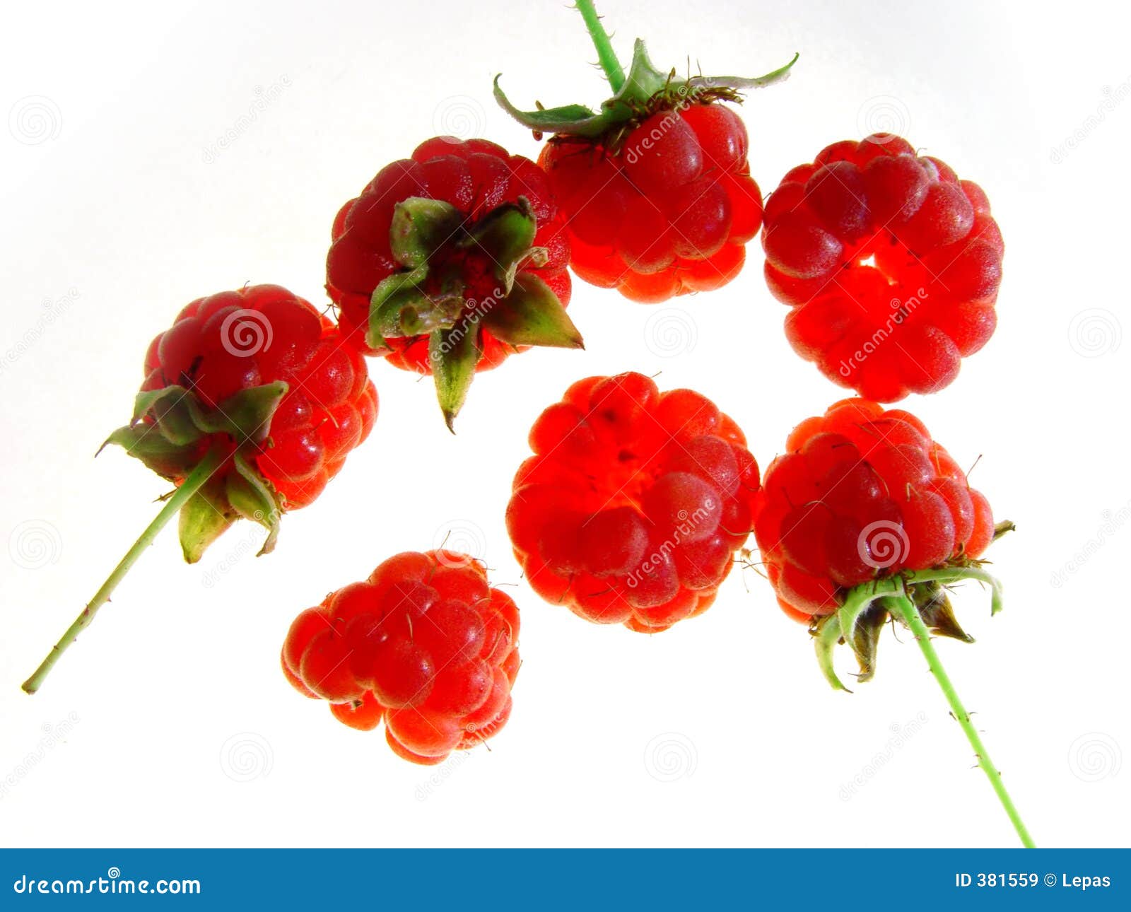 Rasberry stock image. Image of dessert, sweet, food, drupe - 381559