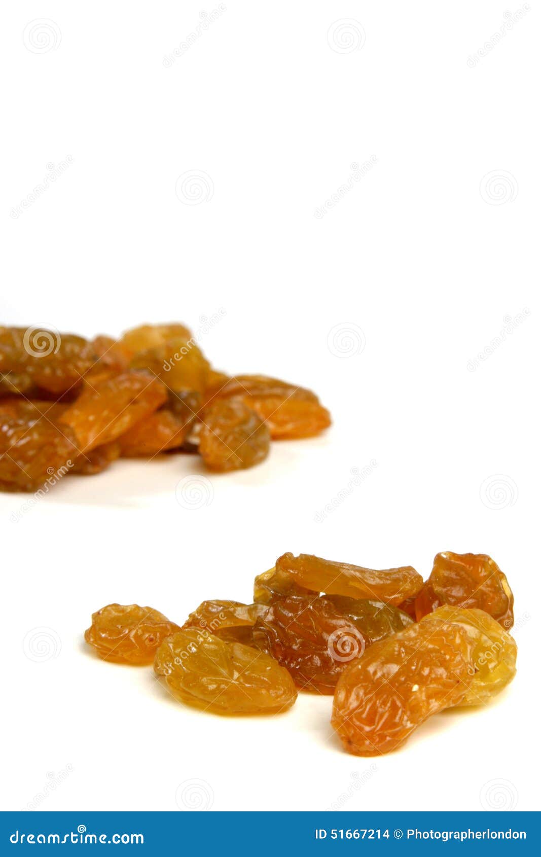 Rasin stock photo. Image of healthy, calorific, food - 51667214
