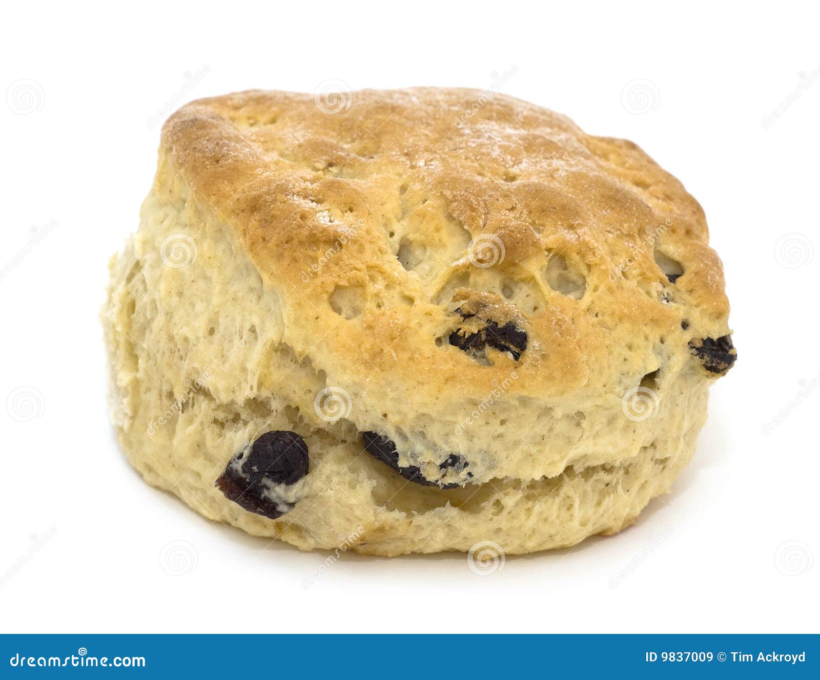Rasin scone stock image. Image of rasin, homemade, food - 9837009