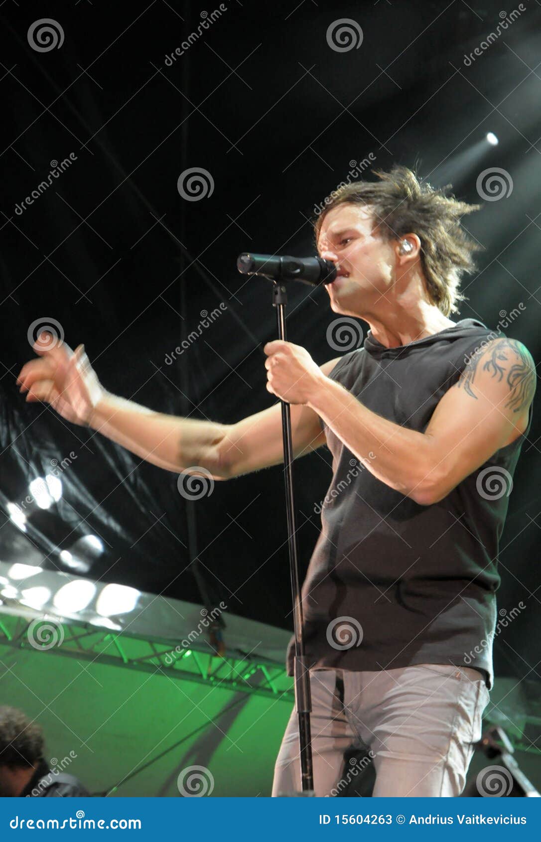 The Rasmus editorial stock photo. Image of stage, green - 15604263