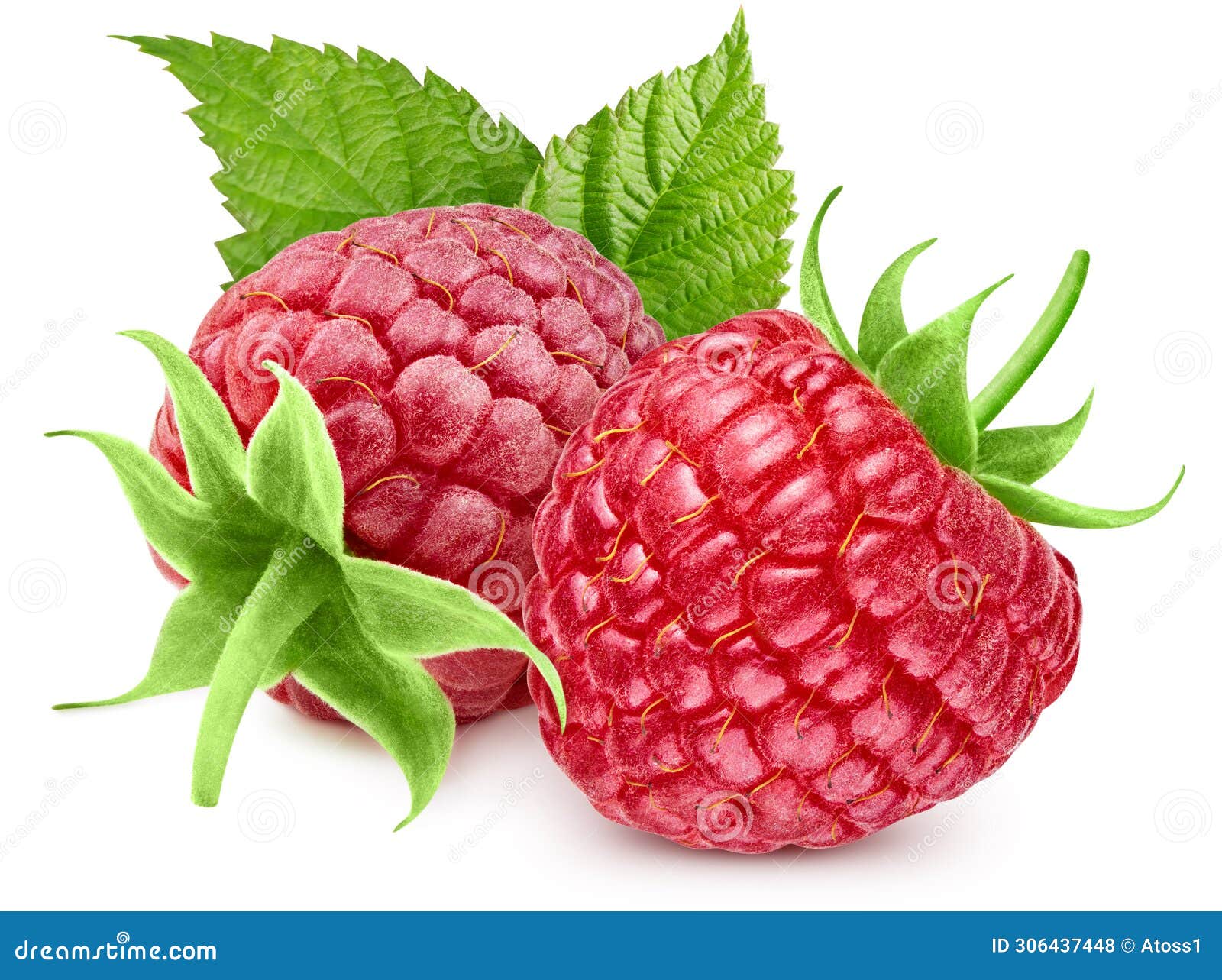 Raspberri Berry with Leaves Isolated on White Background Stock Photo ...