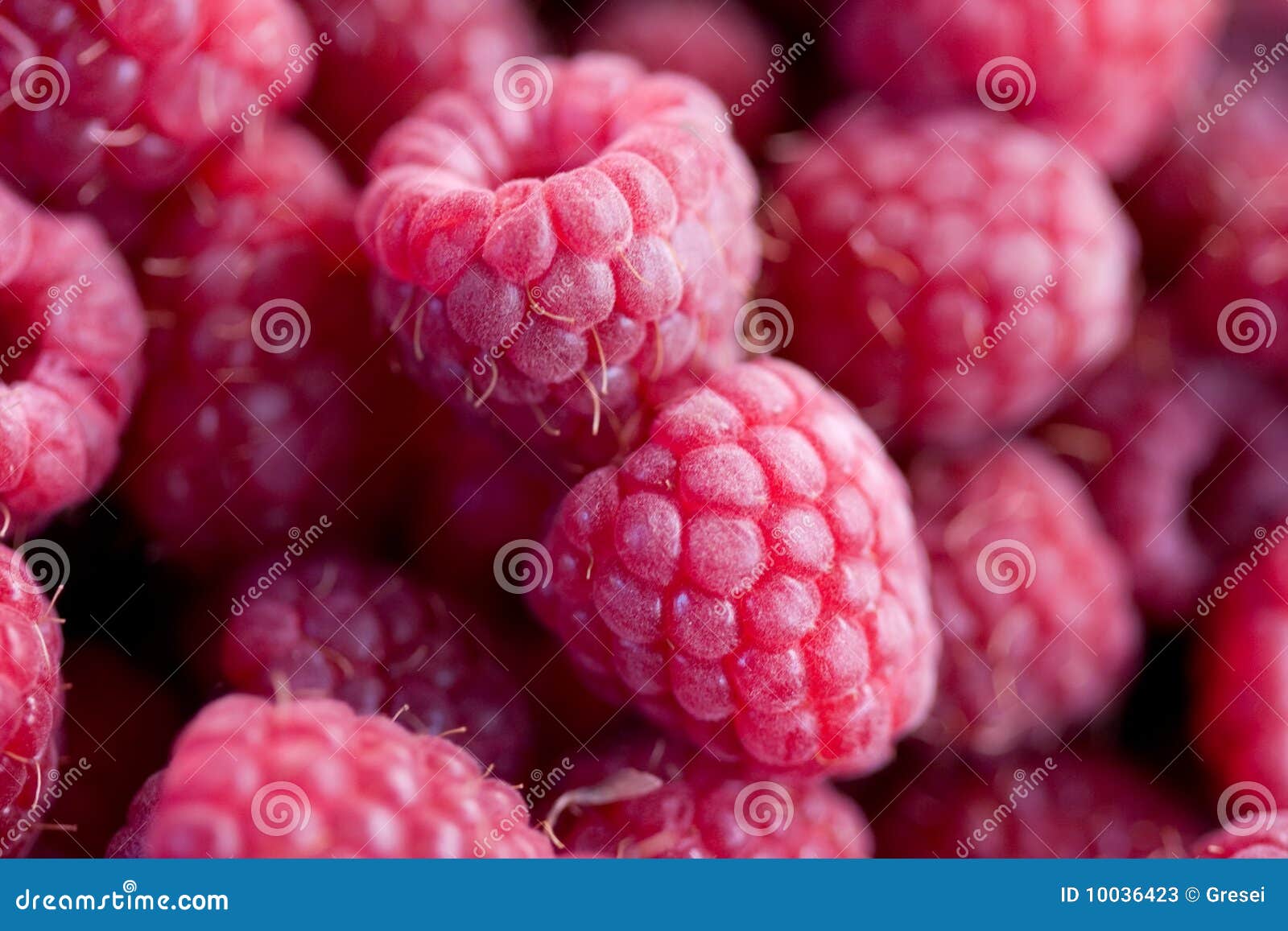 Raspberries stock image. Image of delicious, selective - 10036423