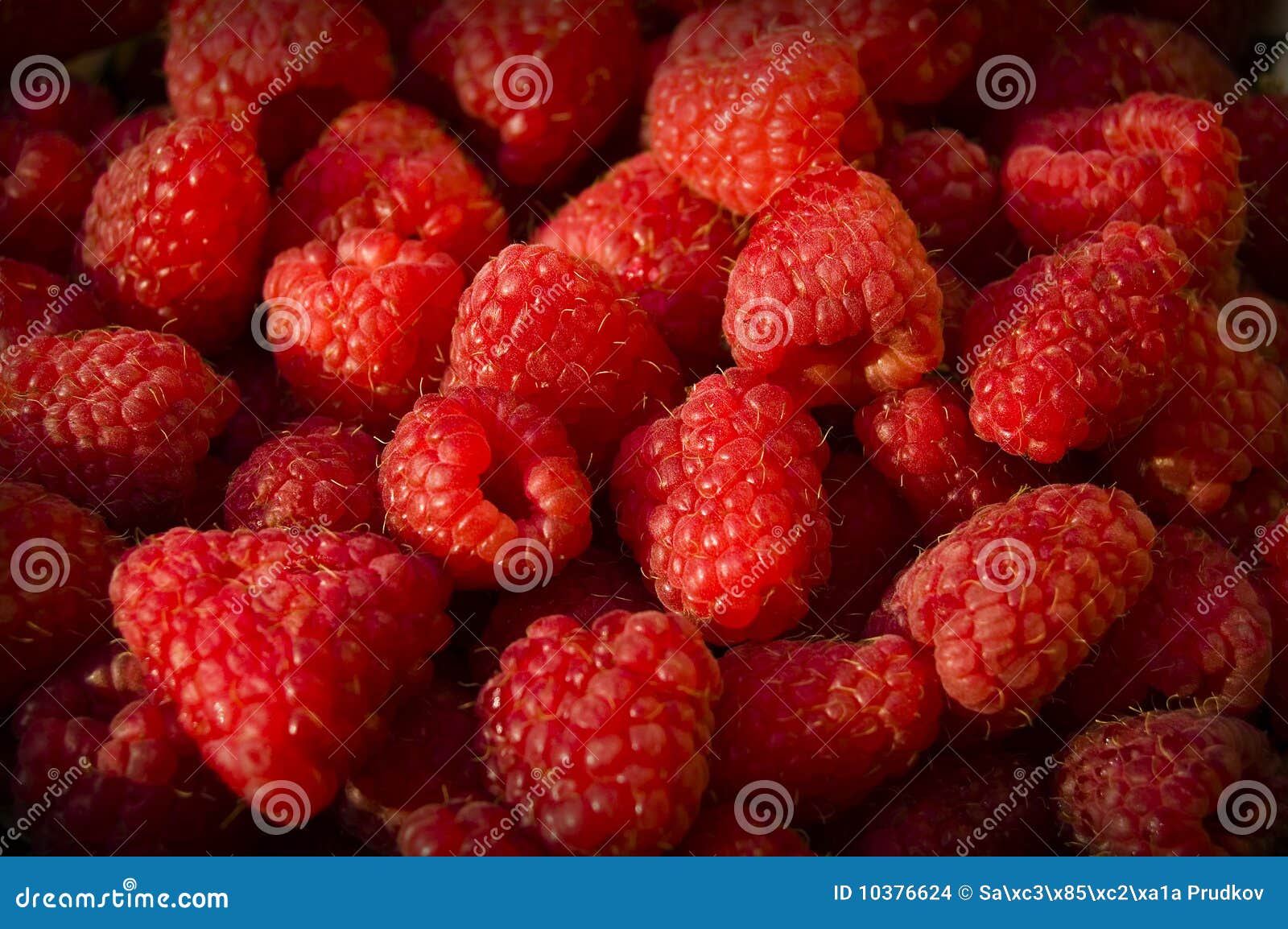 Raspberries stock photo. Image of cultivation, flavor - 10376624
