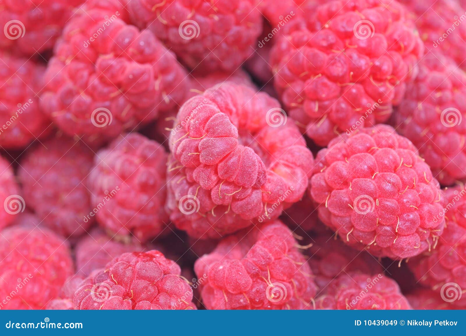 Raspberries stock image. Image of nutrition, juicy, natural - 10439049