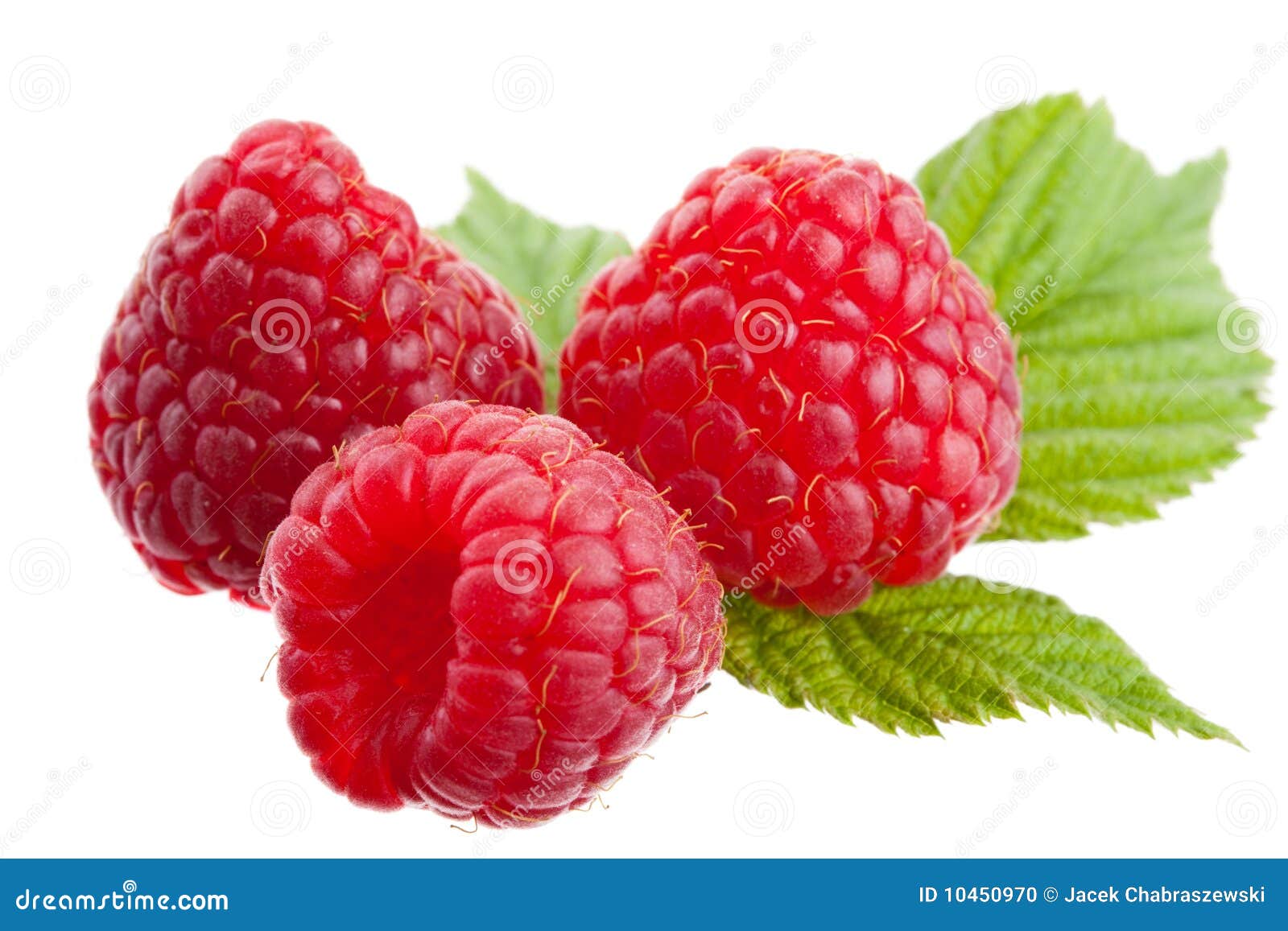 Raspberries stock photo. Image of freshness, diet, ingredient - 10450970