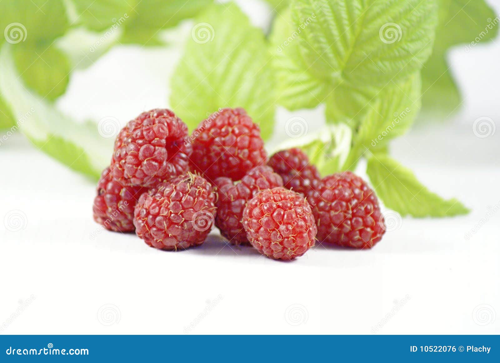 Raspberries stock photo. Image of background, raspberries - 10522076