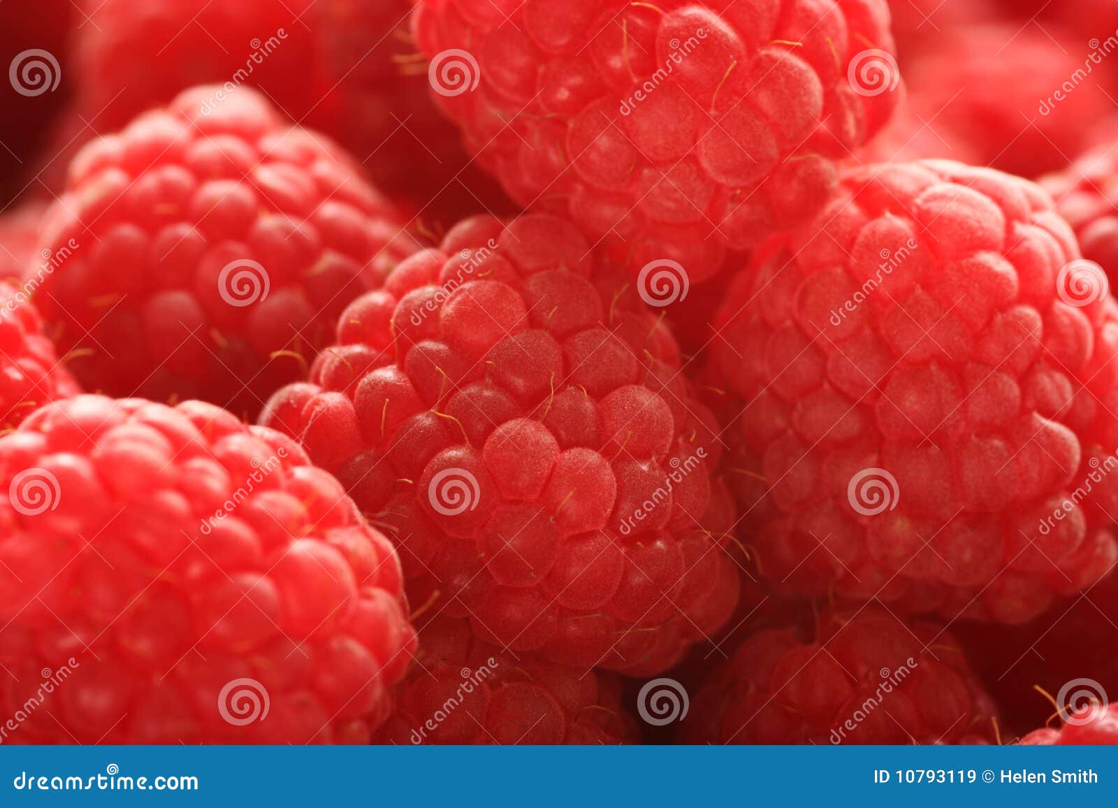 Raspberries stock image. Image of ripe, close, food, lifestyle - 10793119