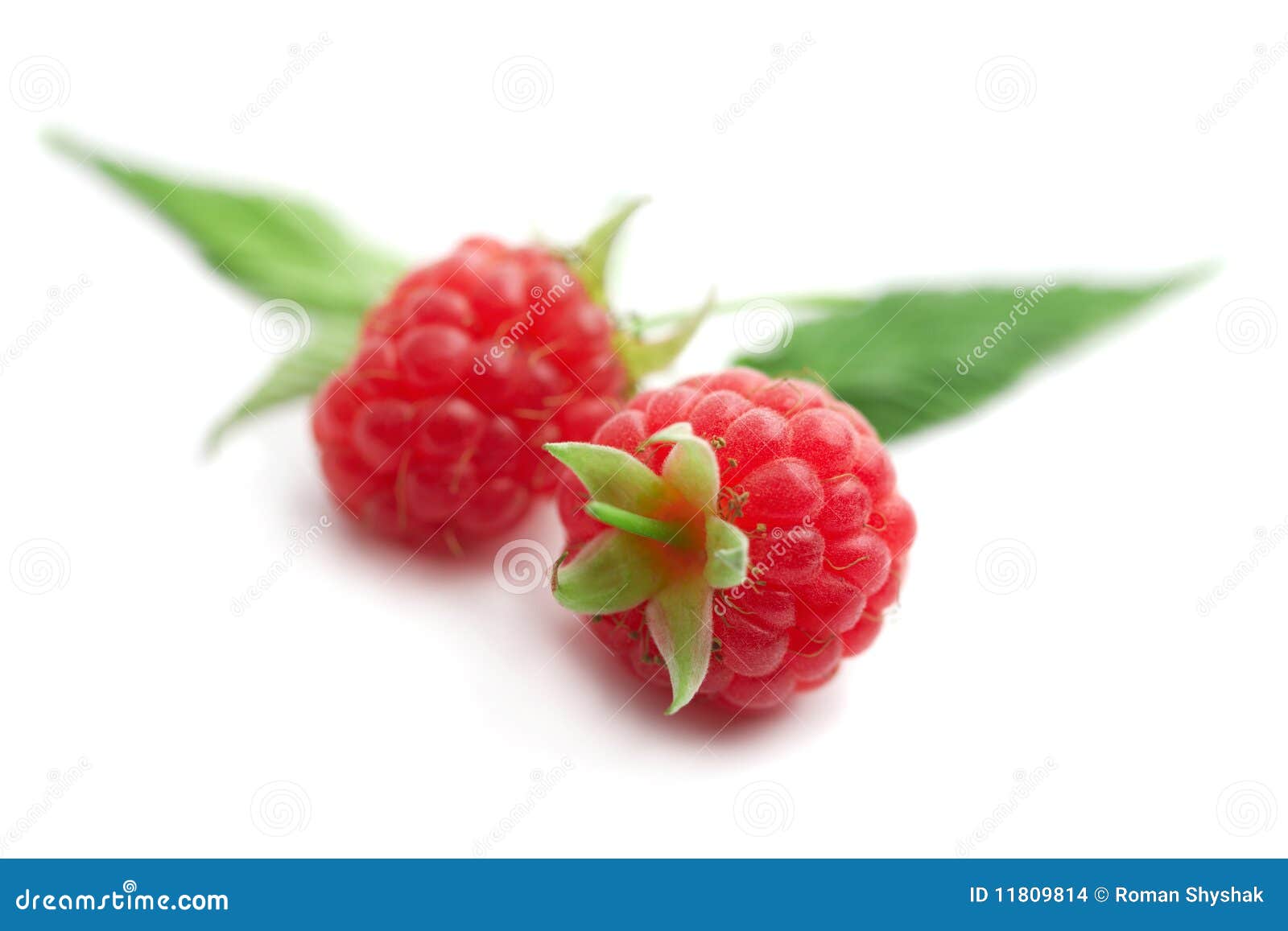 Raspberries stock photo. Image of freshness, sweet, view - 11809814