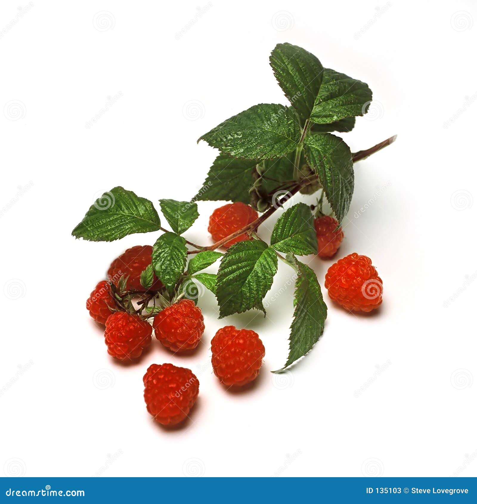 Raspberries stock image. Image of ripe, healthy, fruit - 135103