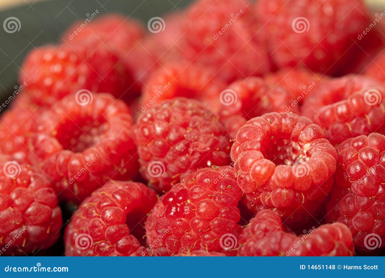 Raspberries stock photo. Image of framboise, spicy, dessert - 14651148