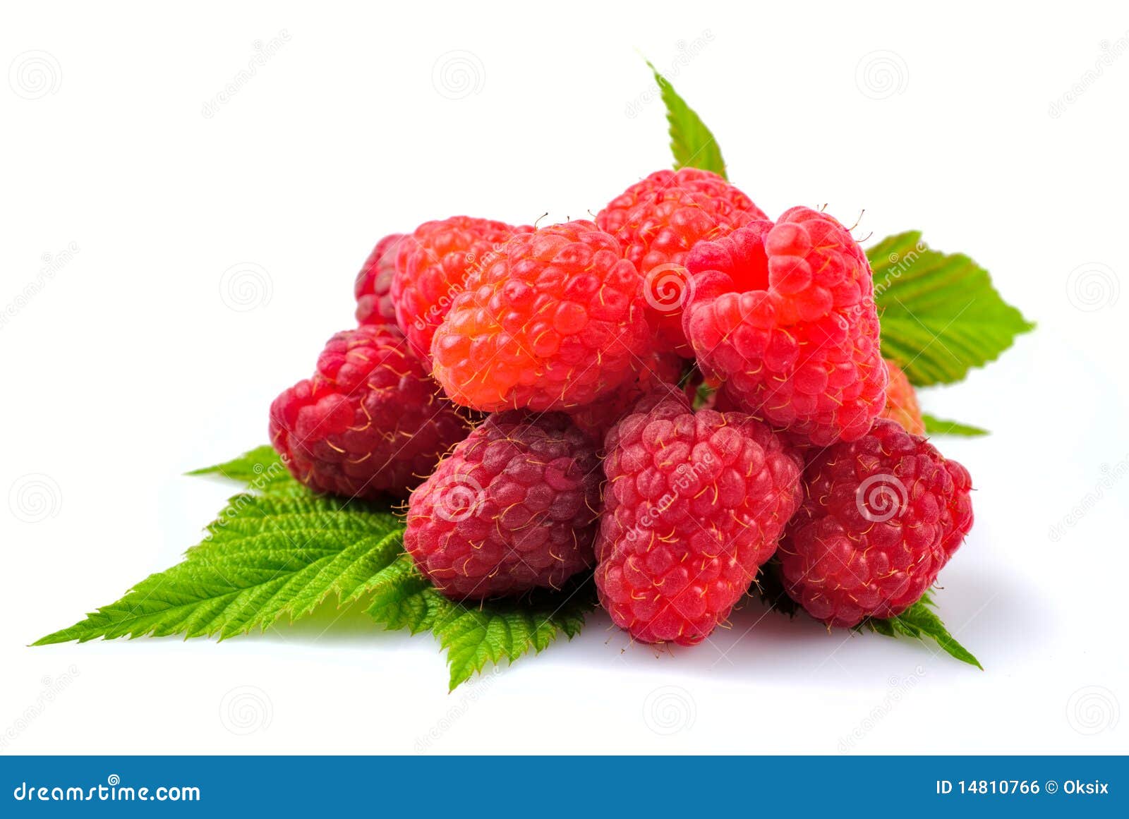 Raspberries stock photo. Image of vitamin, ripe, shot - 14810766