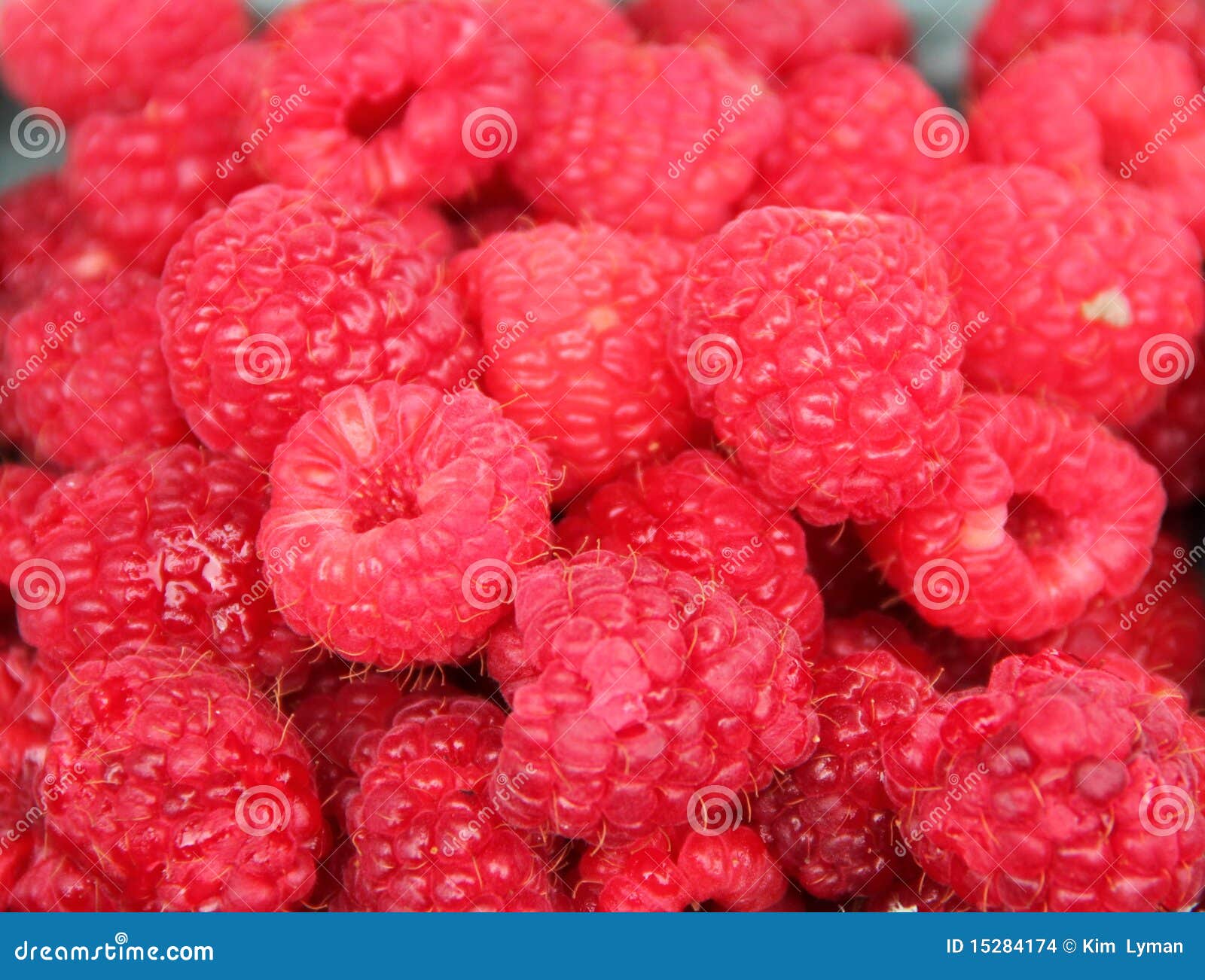Raspberries stock photo. Image of agriculture, pattern - 15284174