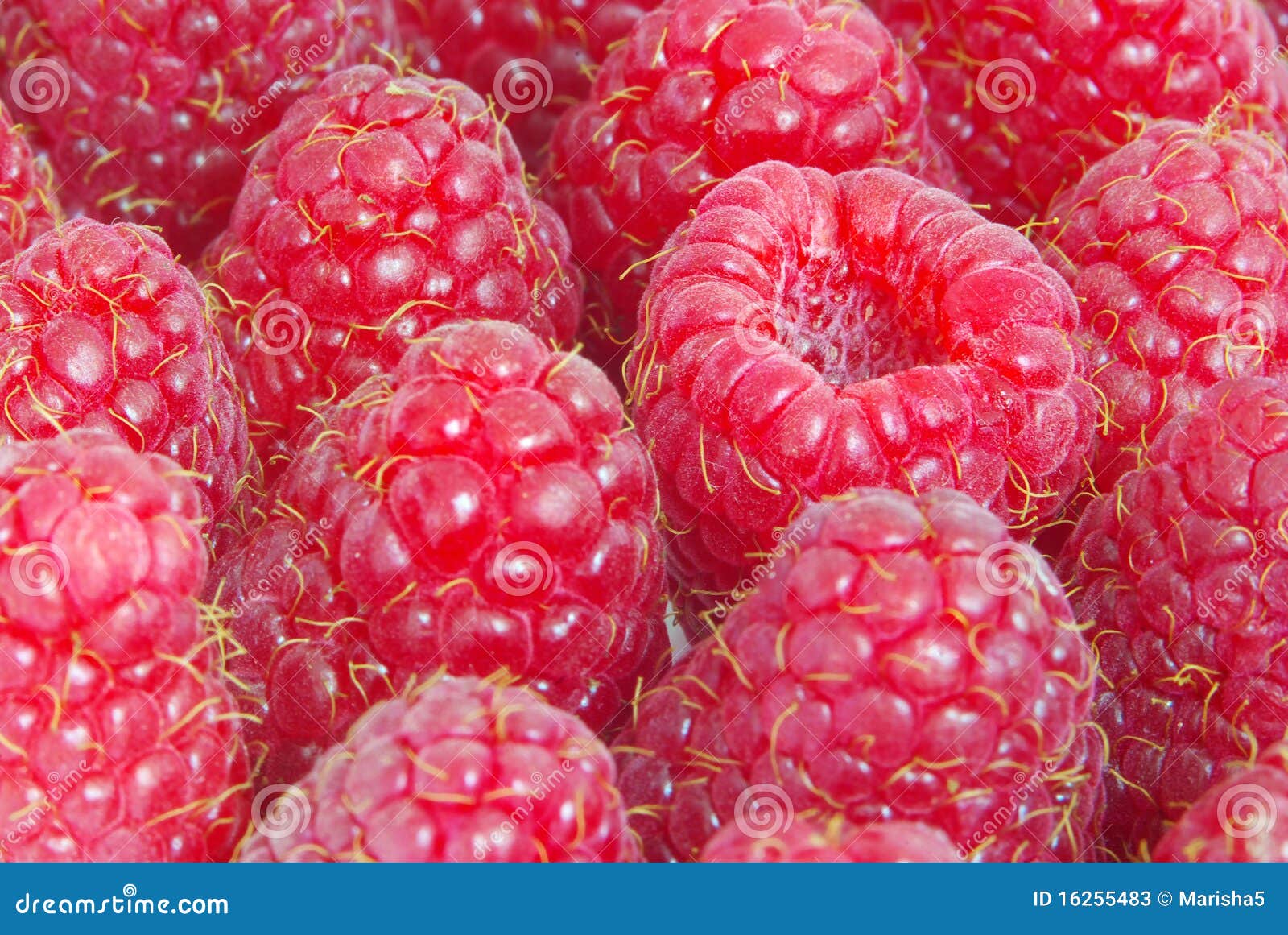 Raspberries stock image. Image of lifestyle, delicious - 16255483