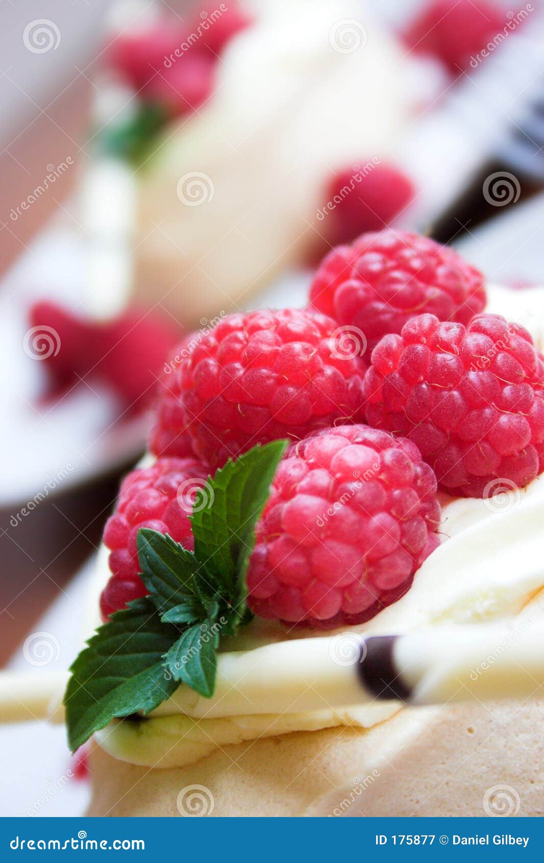 Raspberries!!! stock image. Image of sauce, pavlova, chocolate - 175877